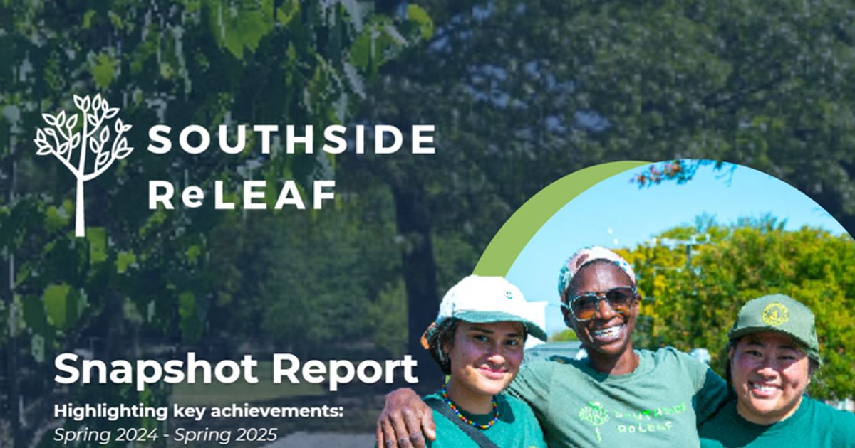 Snapshot Report